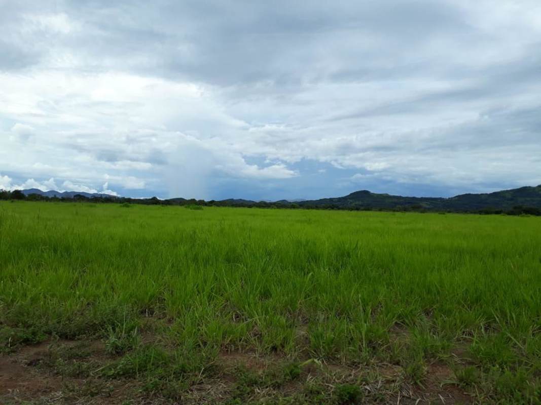 Fincas en Panamá Natá | venta | $2,400,000 NEGOCIABLES VENDO 141 ...