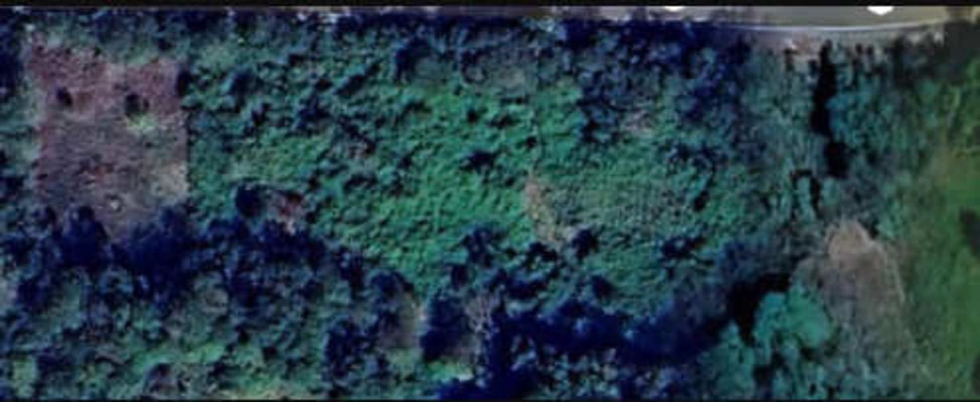 Land Gualaca | venta | Venta de terreno en Gualaca - Vía Bocas del Toro ...