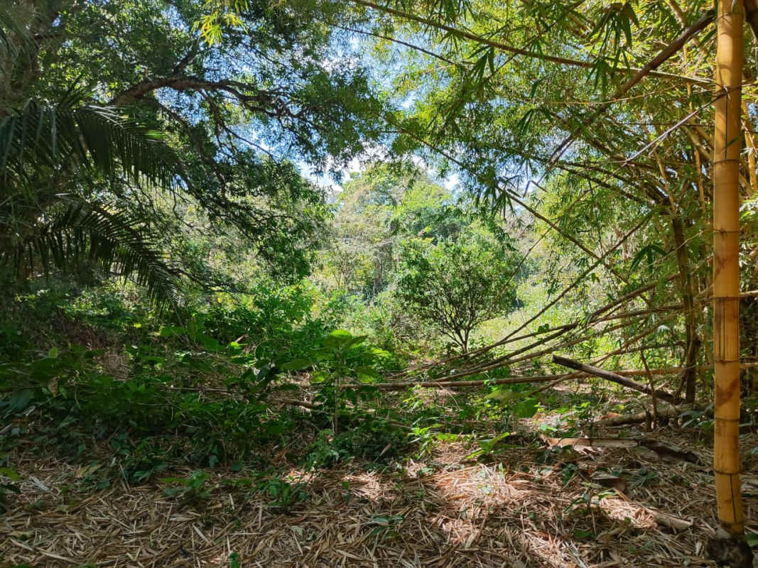 Lotes y Terrenos Cuscatlán | venta | Terreno en VENTA en San José ...