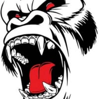 Pulsar NS 160 2026 en Managua | Pulsar NS 160 UG año 2026